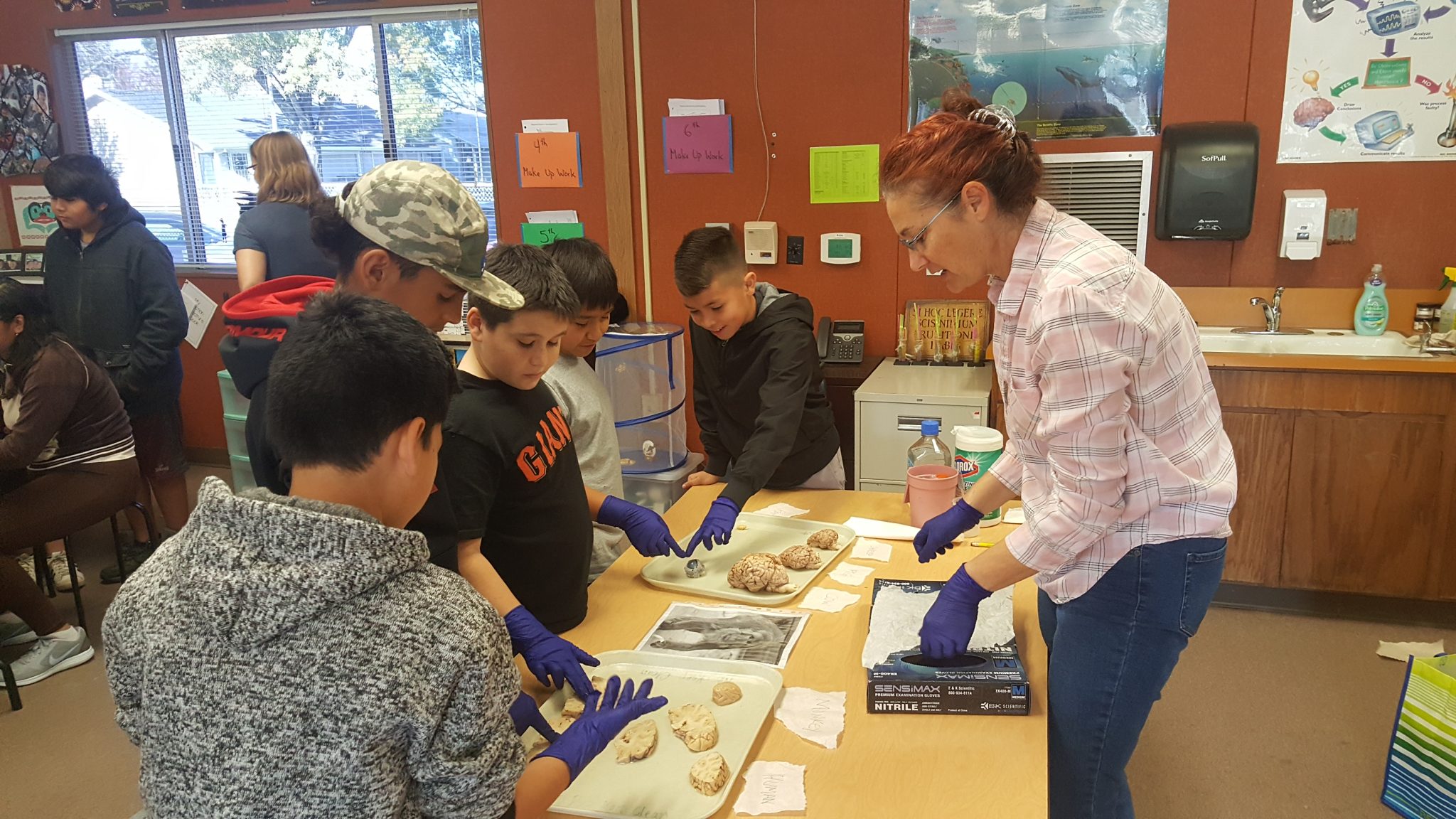 2018 Freeman Elementary – The Ventricular Foundation